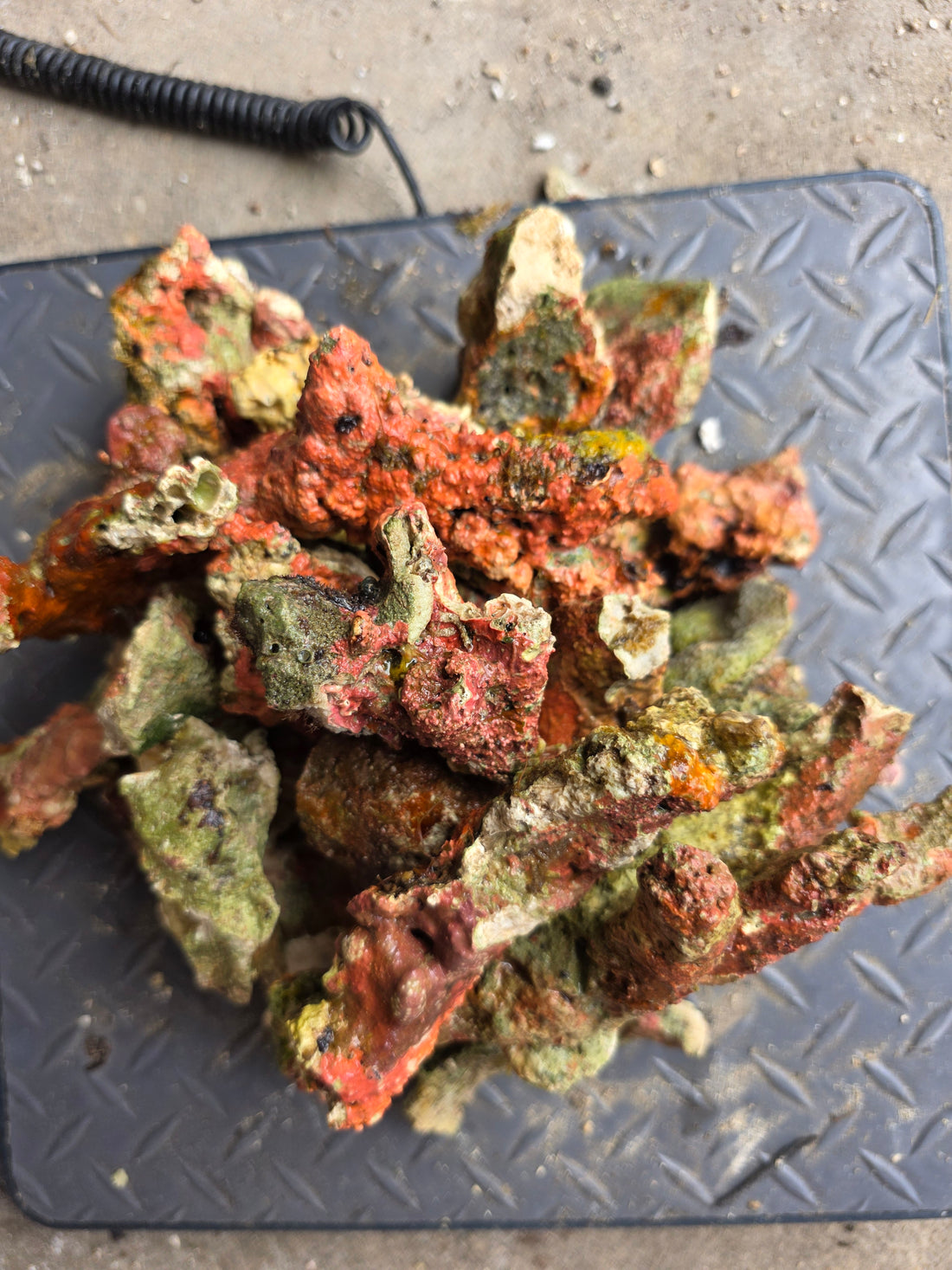 Australian Live Rock RUBBLE – Pristine Marine Aquariums